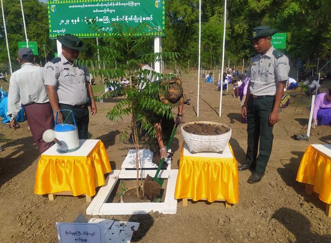 Collective tree-planting event held in Myothit Twsp. | Myanmar Digital News